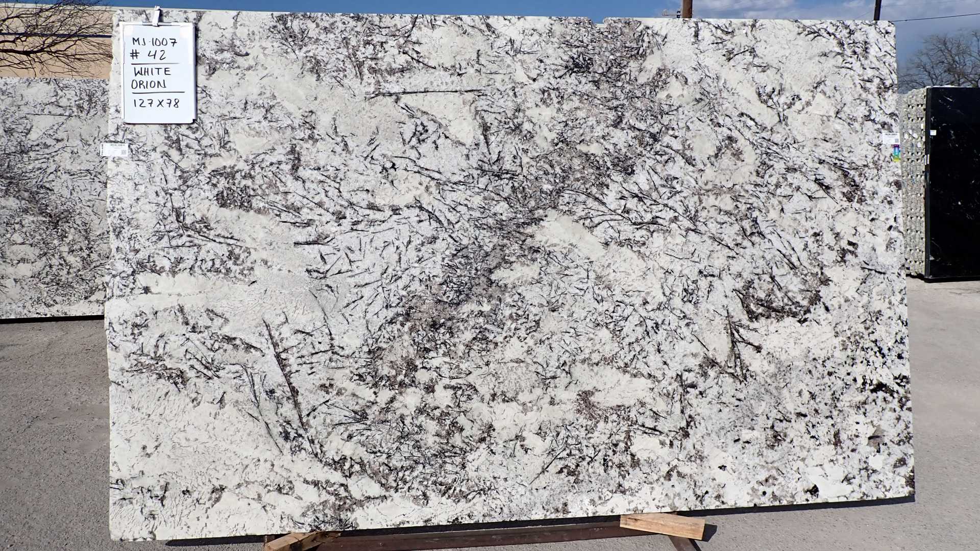 White Orion - MJ Granite | Stone & Granite Supplier in San Antonio