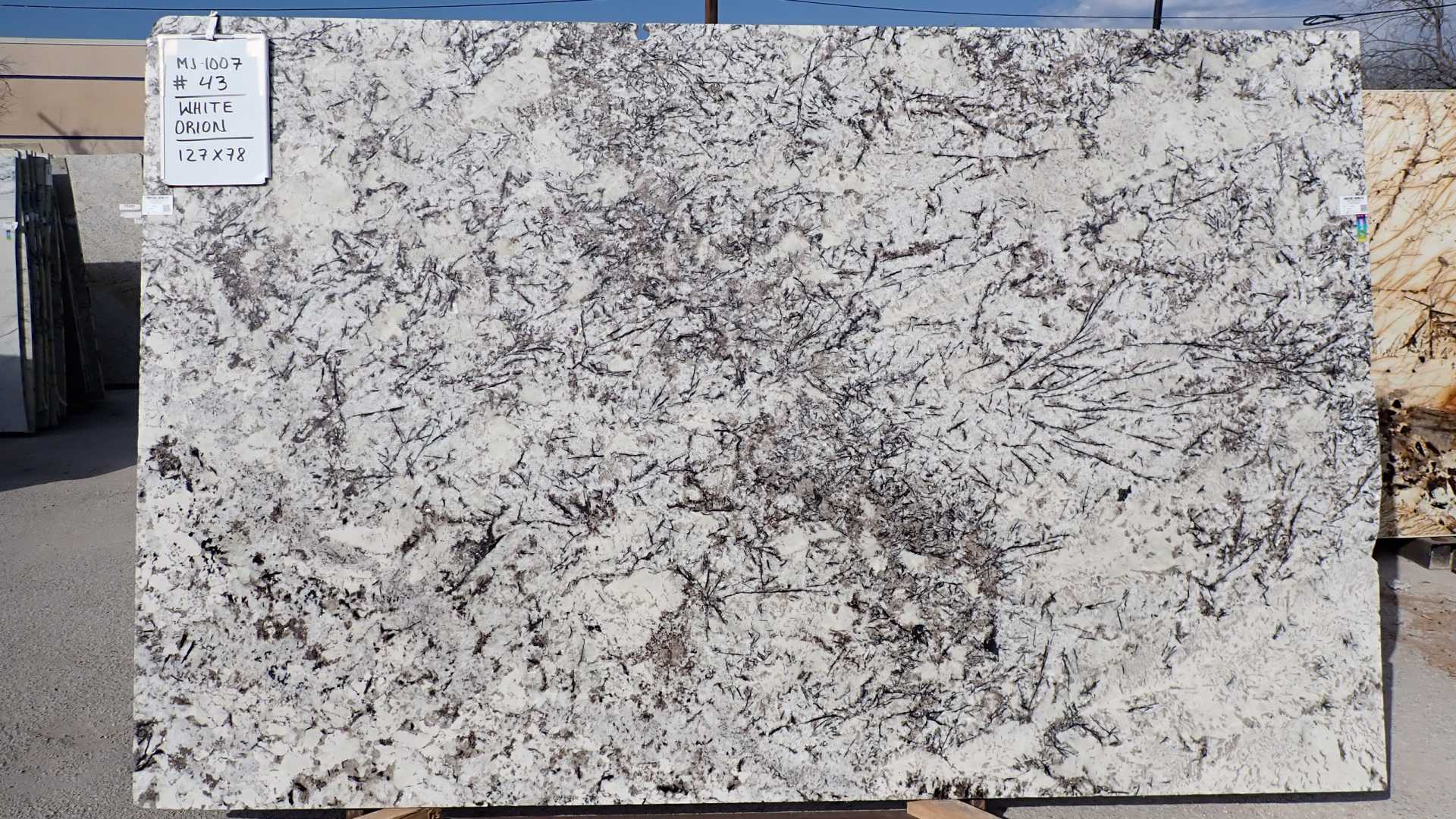 White Orion - MJ Granite | Stone & Granite Supplier in San Antonio