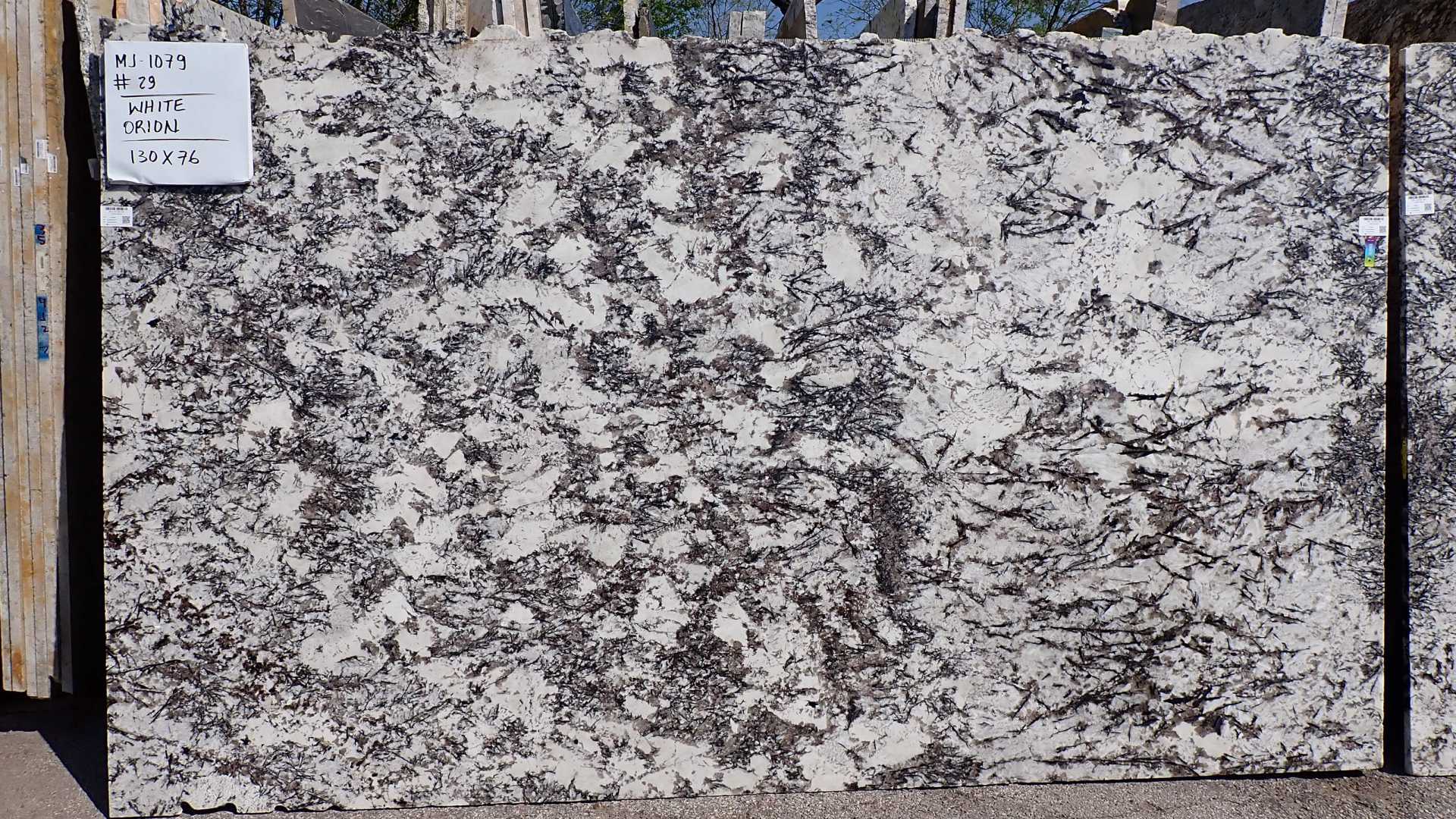 White Orion - MJ Granite | Stone & Granite Supplier in San Antonio